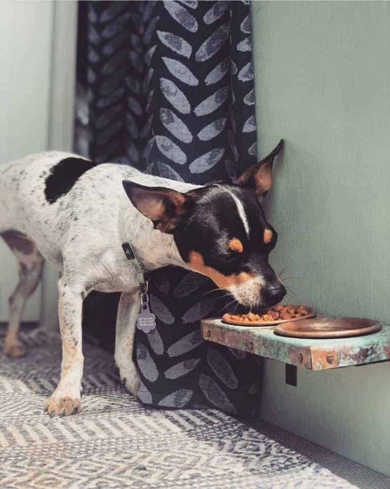 Campervan Recipe | 10 of the best Van Kitchen Designs | Vanlife Eats